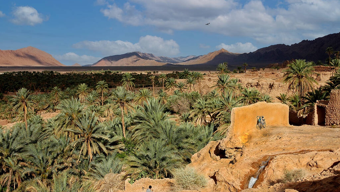 EXPLORING FIGUIG: WHERE DESERT MEETS OASIS IN EASTERN MOROCCO